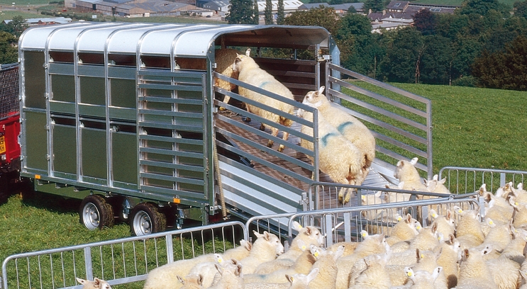 Livestock Trailers – Cargo Trailer – CM Trailers Sale